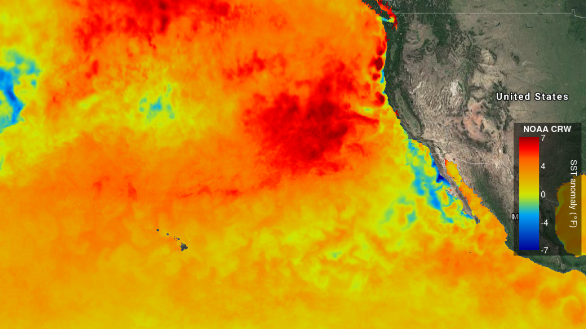 ASU working to save Hawaiian coral reefs during onset of new ocean heat ... ASU working to save Hawaiian coral reefs during onset of new ocean heat ...