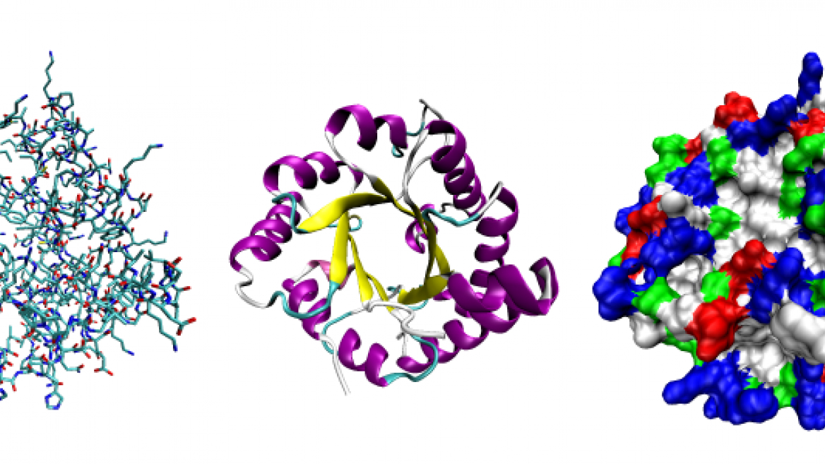 New research in protein sequencing poised to transform medicine ...
