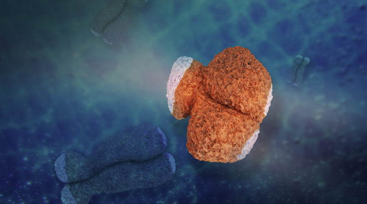 Researchers Assemble The First Complete Sequence Of A Human Y